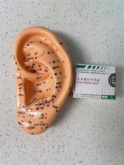 耳穴压豆法的适应症及注意事项 腾讯新闻