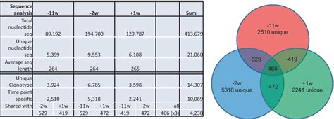 Of The Igg Sequence Analysis The Number Of Total Nucleotide Sequences