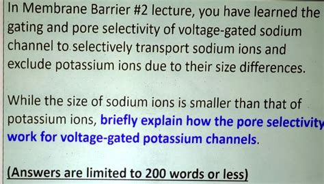 In Membrane Barrier 2 Lecture You Have Learned The Gating And Pore Selectivity Of Voltage