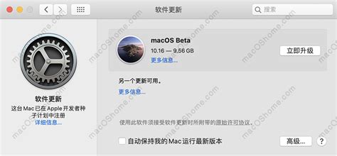Macos 11 Big Sur 开发者测试版描述文件，测试版系统更新推送 苹果系统之家