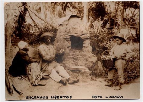 Jongo Portal Capoeira