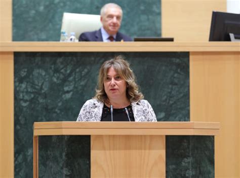 პარლამენტმა პერსონალურ მონაცემთა დაცვის სამსახურის 2022 წლის