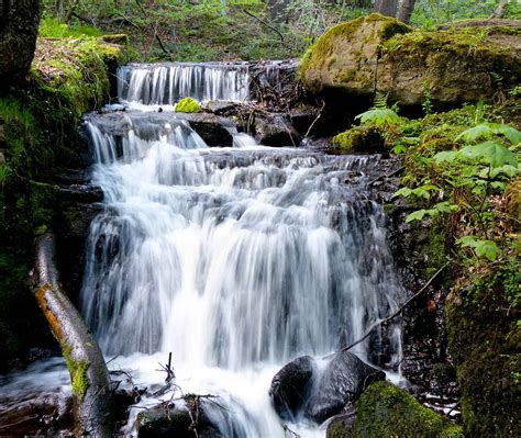 Freshwater