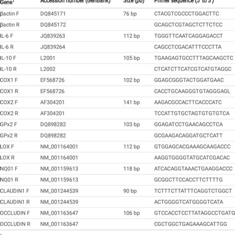 Primer Sequences And Relative Amplicon Dimensions Download