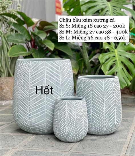 Chậu Bầu Xanh Xám Hoạ Tiết Xương Cá Vườn Gốm
