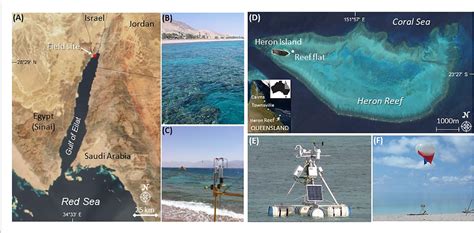 Figure 1 From Coral Reef Coupling To The Atmospheric Boundary Layer