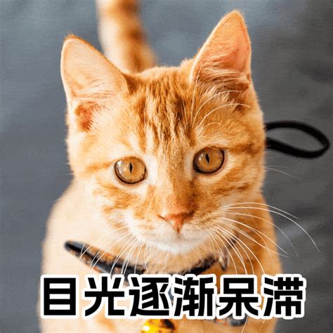 2023高考成绩公布！没考好的学子别泄气，未来路还长！在职研究生毕业院校