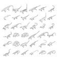 Monkeys Types Icons Set Cartoon Style Royalty Free Vector