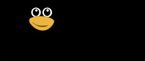 linux user management basics dev community