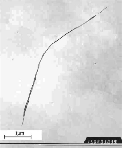 Tem Image Of Two Intertwined Fe Co Nanowires With Length About 7 5 ␮ M Download Scientific