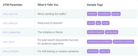 The 2025 Utm Tagging Guide