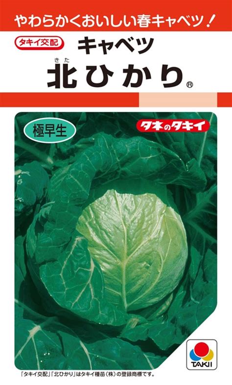 タキイ種苗 キャベツ種子 北ひかり Aca056 【取り寄せ注文】 葉菜類キャベツ 小林種苗株式会社