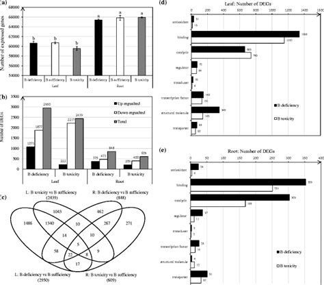 Genome Wide Identification And Characterization Of The Differentially