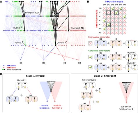A Spectrum Of Modularity In Multi‐functional Gene Circuits Molecular Systems Biology