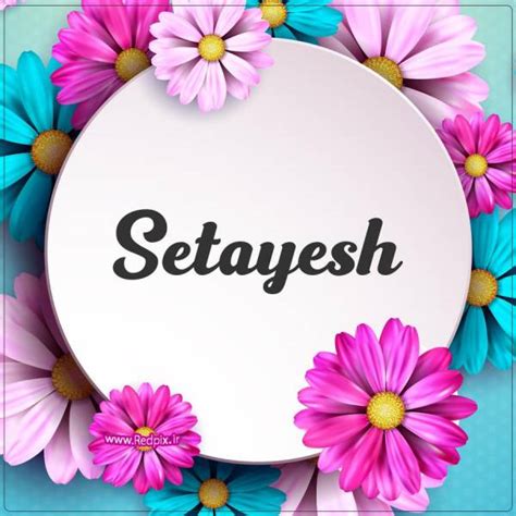 اسم ستایش به انگلیسی برای پروفایل • ️ تکست ناب