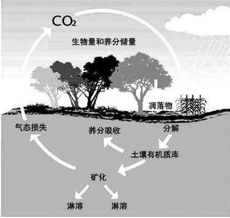 世界大学气候变化联盟启动“气候变化协同”全球行动 双碳门户网