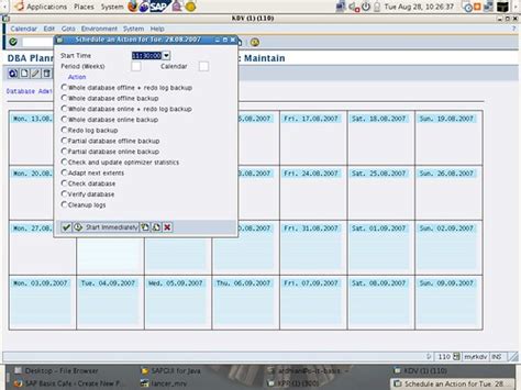 key2sap checking sap r 3 database