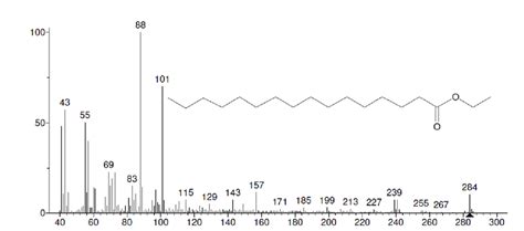 Mass Spectrum Of Hexadecanoic Acid Ethyl Ester Download Scientific