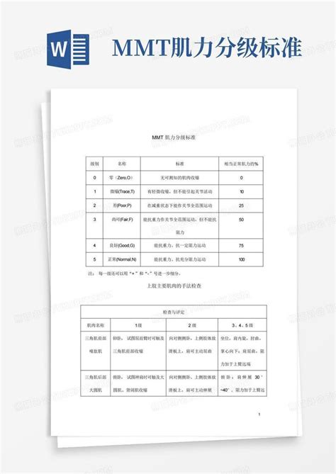 mmt肌力分级标准Word模板下载 编号qgyoyepa 熊猫办公