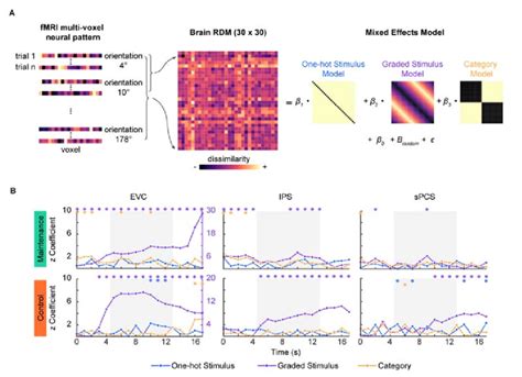 Mixed Effects Modeling On Neural Rdms Using Hypothetical Stimulus And Download Scientific Diagram