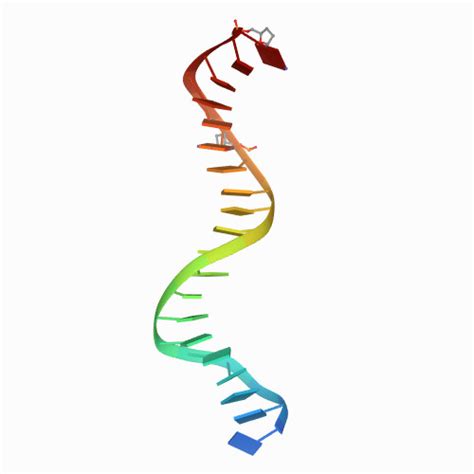 Rcsb Pdb 7aii Hiv 1 Reverse Transcriptase Complex With Dna And L
