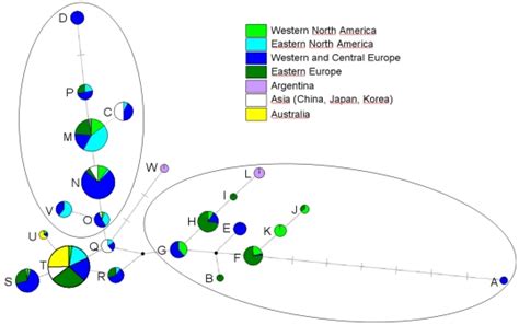 Ten Haplotypes Counting Only One Individual Each Table Download
