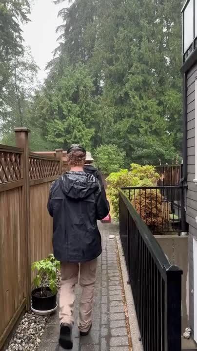 Pest Detective On Linkedin Pest Control Services