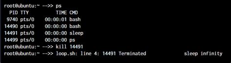 Top 50 Linux Commands You Must Know Digitalocean