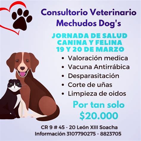 Jimmy Alejandro Malagon Ruiz Jimmyalejandroruiz • Instagram Photos