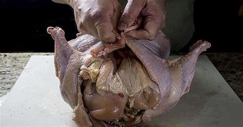 Chicken Album On Imgur
