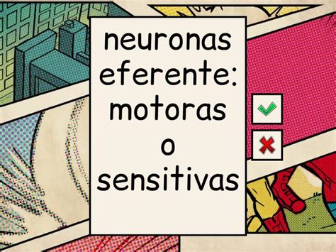 Sistema Nervioso Prueba De Nivel Flash Cards
