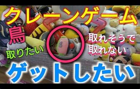 【クレーンゲーム】第209話 取れそうで取れないクレーンゲームに遊ばれているオバサン クレゲマニア