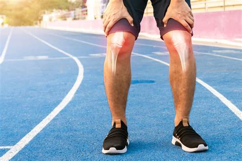 8 Ejercicios Para Fortalecer Cuadriceps Sin Dañar Tus Rodillas Y Los