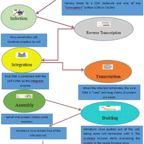 Document Store Nosql Database Source Download Scientific Diagram