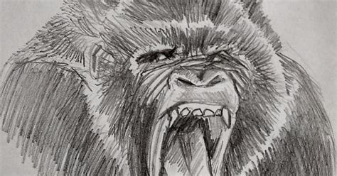 Gorilla Album On Imgur