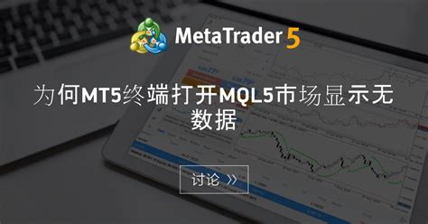 为何mt5终端打开mql5市场显示无数据 一般 Mql5 算法交易论坛