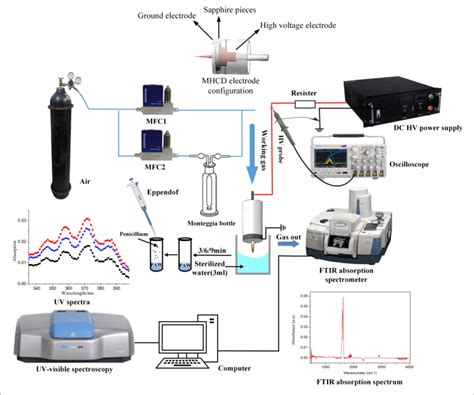 Schematic Diagram Of The Experimental Setup Download Scientific Diagram