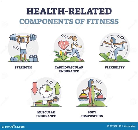 Training Components Business Diagram Royalty Free Illustration