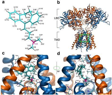 Molecular Modeling Of Amitriptyline Atl Interactions With The Nmdar