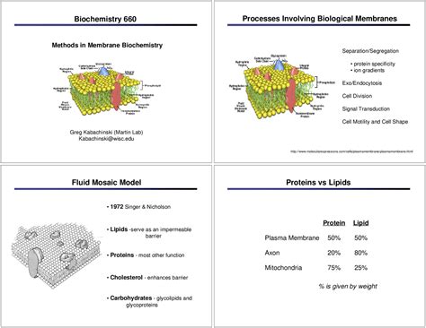 Methods In Membrane Biochemistry Lecture Slides Biochem 660 Docsity