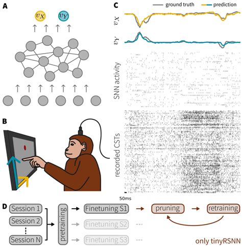 논문 리뷰 Decoding Finger Velocity From Cortical Spike Trains With Recurrent Spiking Neural Networks