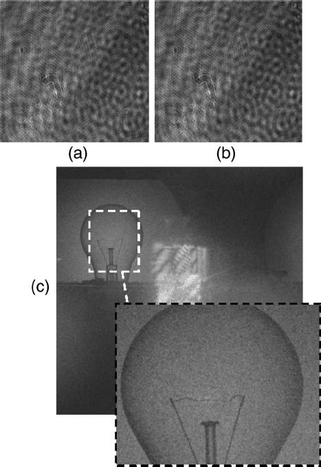 Experimental Results A Recorded Stochastic Digital Hologram Without Download Scientific