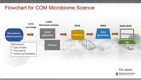 Introduction To Microbiome Science Osu College Of Medicine Resources