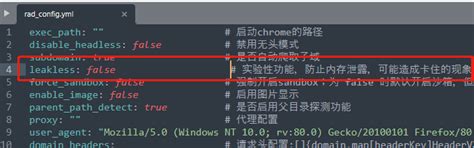 运行rad的时候后台提示远程下载了leaklessexe，请问leaklessexe是做什么的？ · Issue 5 · Di Ao