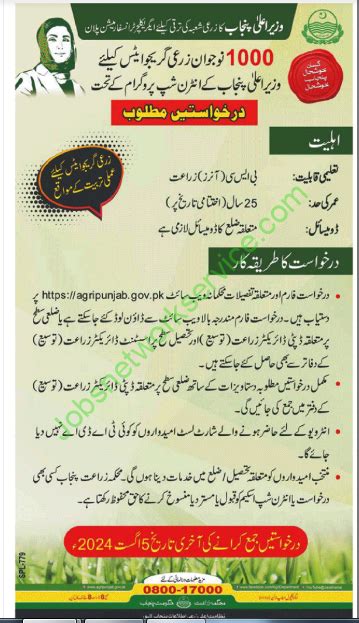 Punjab Chief Minister Maryam Nawaz Sharif Internship Program Jobs 2024