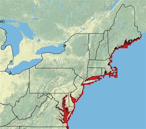 Section 5 Tidal Influence Zones EcoSHEDS Northeast Catchment