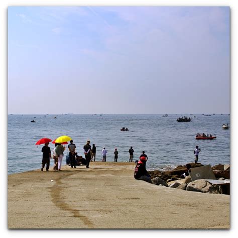 산 Vs 바다 충남 보령 대천 가볼 만한 곳 수산시장 해수욕장 해저터널 원산도 해수욕장 여행 네이버 블로그