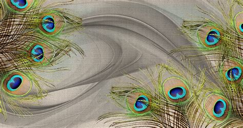 Peacock Feather Wallpaper Desktop Peacock Feather Wallpaper 4k