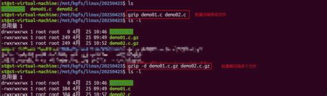 Linux基础：压缩与解压缩linux 递归 解压缩 Csdn博客