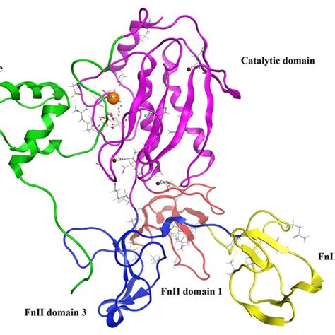 Molecular Docking Conformations Generated By Pymol Visualizing Download Scientific Diagram